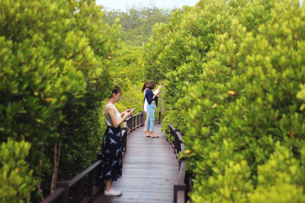 Pranburi Forest Park and Boat Tour at Khao Daeng Canal ( HH07/1 ...